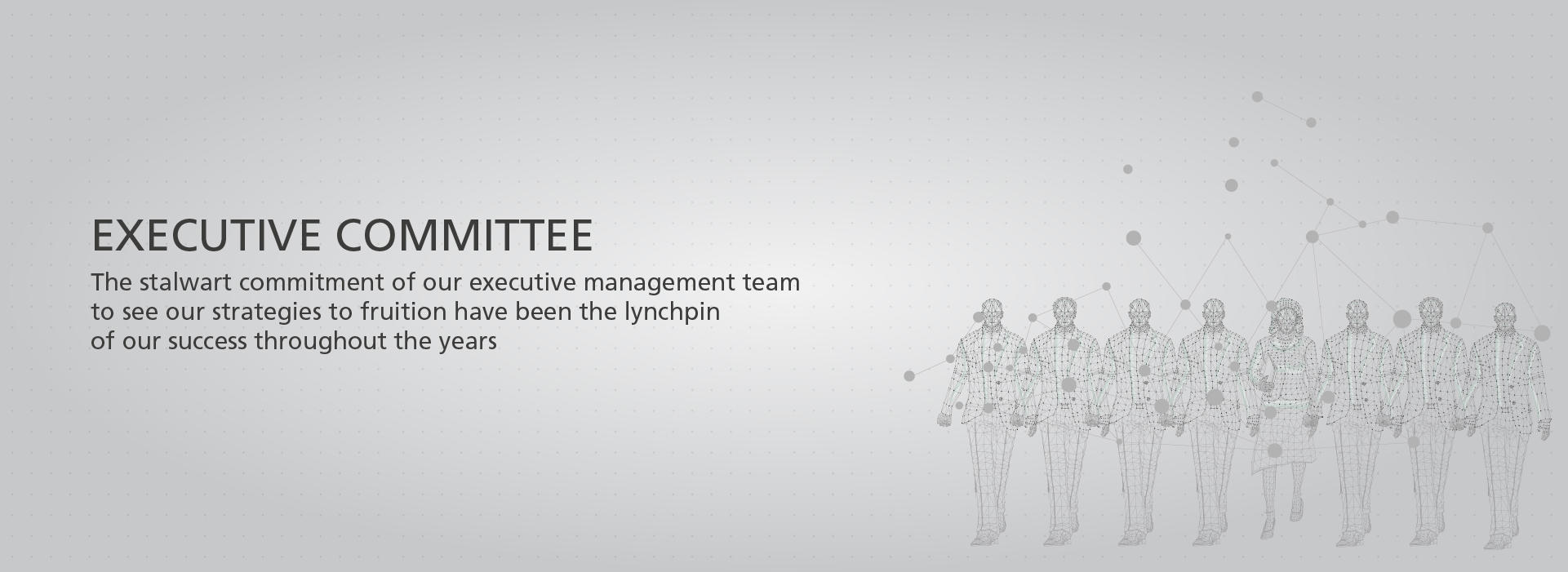 Executive Committee – EFG Hermes 2020 Annual Report